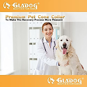 Soft Dog Cone Collar, 2 PCS (for Exact Size) Flexible Plastic Cone for Dogs After Surgery, Dog Recovery Collar, Adjustable E-Collar for Large/Medium/Small Dogs Cat, Comfy Elizabethan Collar (M)