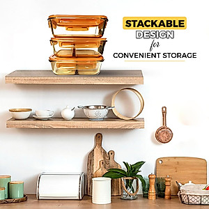 Glass Meal Prep Containers - 1, 2 & 3 Compartment (3 Pack, 36 oz), Reusable Glass Food Storage Containers with Lids, Bento Box Glass for Meal Prep