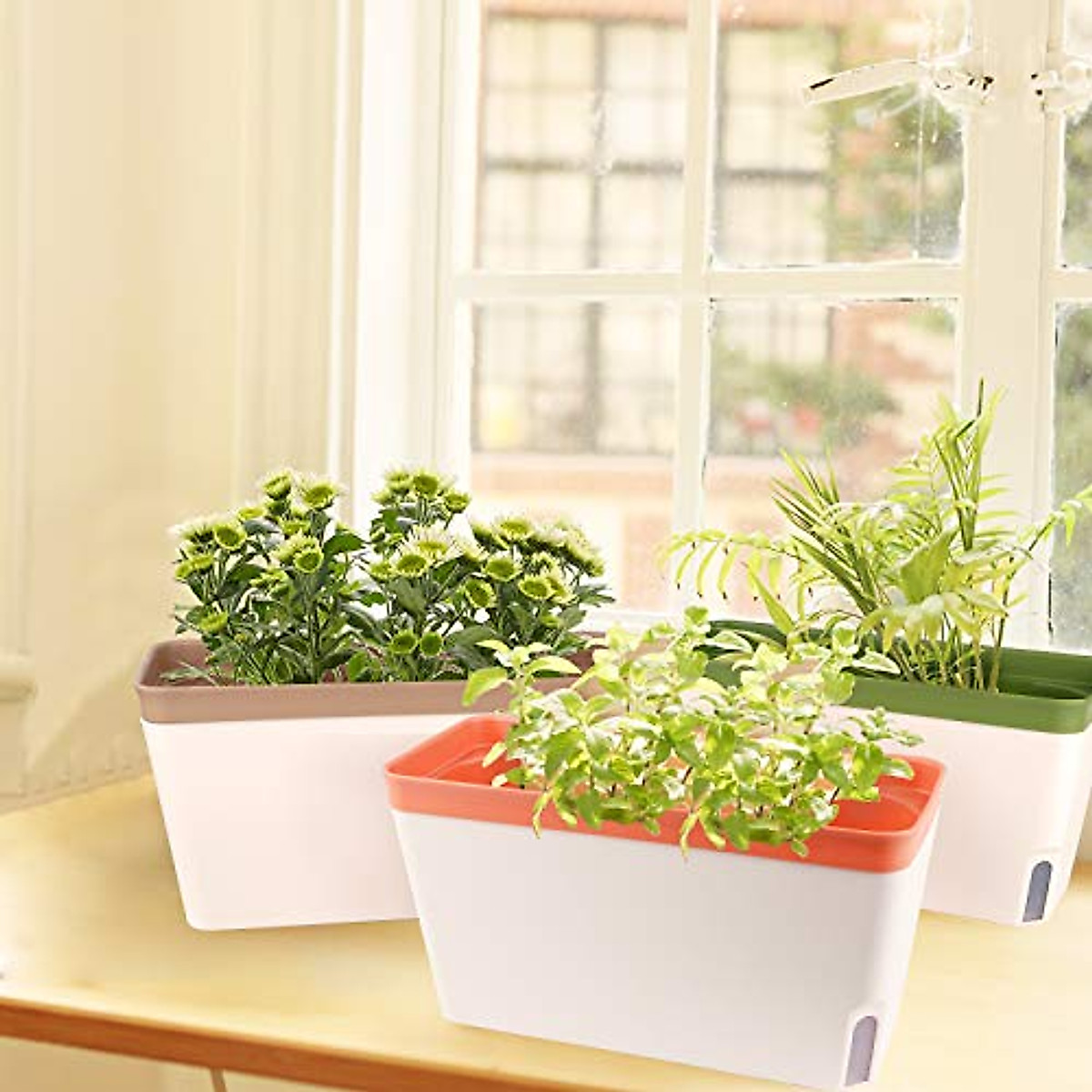 OurWarm Windowsill Herb Planter Box Indoor Set of 3, 10.5 Inch Self Watering Planter Pots with Visual Water Level Window, Modern Plastic Plant Pots for Herbs, Vegetables, Succulents Plants