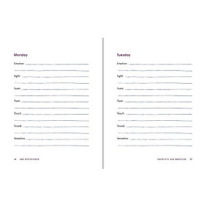 Creativity and Gratitude: Exercises and Inspiration for a Year of Art, Hope, and Healing