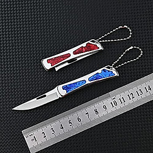 NBGDY Mini Knife Keychain, Small Pocket Folding Knife,EDC Package Opener  Box Cutter Knife. 2PCS(Red and Blue)(KPQ-1029)