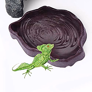 POPETPOP Reptile Food Bowl Water Dish - Resin Reptile Food and Water Feeding Bowl, Reptile Food Container Feeder for Tortoise Lizard Snake Frog Gecko, Pet Breeding Tray