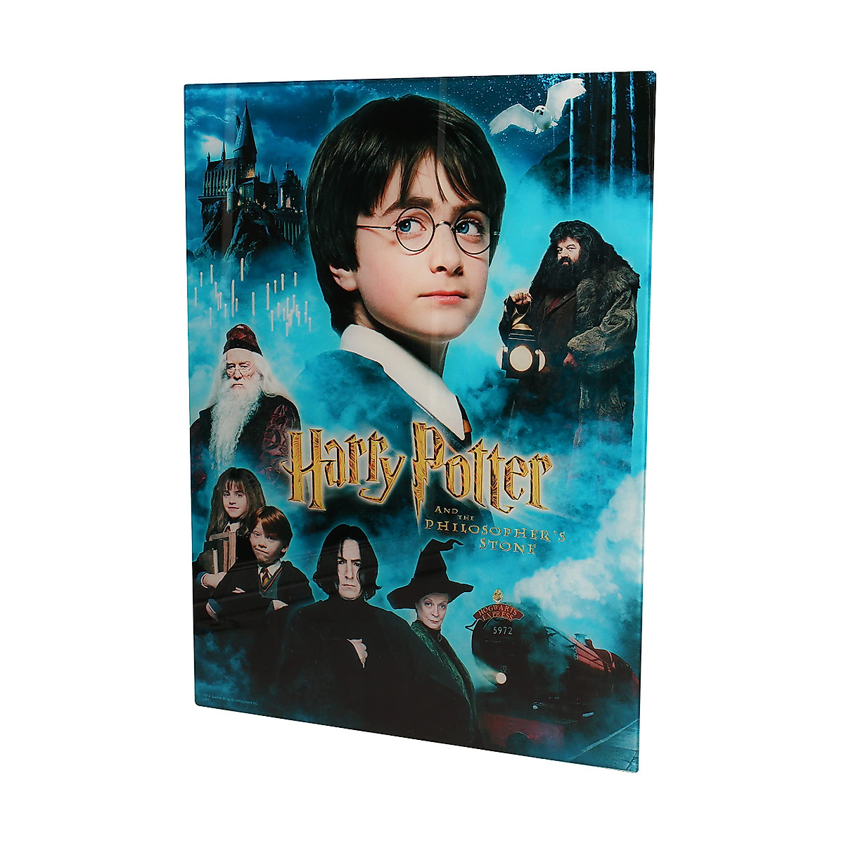 Harry Potter - Impression en Verre - Philosopher's Stone - 30X40 Cm