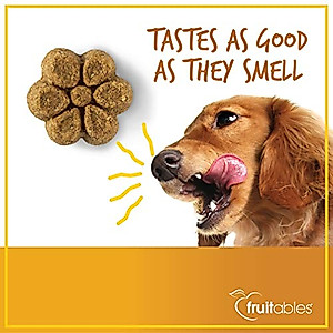 Fruitables Baked Dog Treats Variety 8 Pack - 2 Pumpkin & Apple - 2 Pumpkin & Banana - 2 Pumpkin & Blueberry - 2 Pumpkin & Cranberry - 7 oz Each