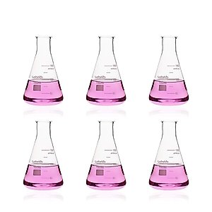 Labvida 6pcs of Narrow Mouth Glass Erlenmeyer Flasks, Vol.150ml, 3.3 Borocilicate with Printed Graduation, LVC002