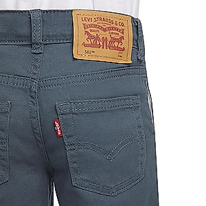Levi's Boy's 502 Regular Taper Fit Chino Pants, Dark Slate, 10