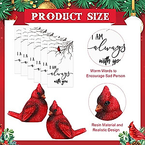 6 Packs Memorial Cardinal Gift Set Include 6 Pcs Red Cardinal Bird Statue Figures 6 Pcs Red Feathered Cards 6 Pcs Organza Bags for Sympathy Grief Memorial Gift Funeral Favors Home Garden Decor