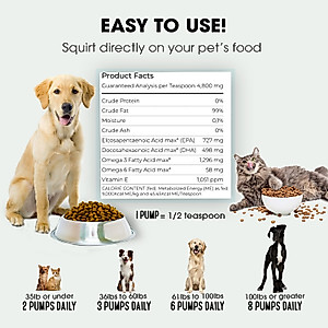 Sardine Anchovy Oil | 1296mg Omega | Unscented Pharmaceutical Grade | for Dogs & Cats | BPA-Free Brushed Aluminum Epoxy Coated Bottle with Pump 8.75oz