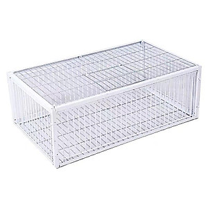 Andowns Big Foldable Galvanised Pigeon Dove Bird Trap Cage Feral Pigeon Humane Way with The one-Way Entrance Trapping Pigeons Doves in Cages 1 (40x30x26cm / 17x13x10inch 4 Entrances)