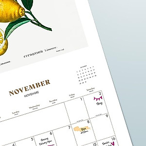 Wall Calendar 2024 12" x 12" FSC® Plastic Free - Starts Week On Sunday | Square Wall Calendar 2024 | Family Planner Calendar 2024 | 2024 Calendar (Botanical 2024)