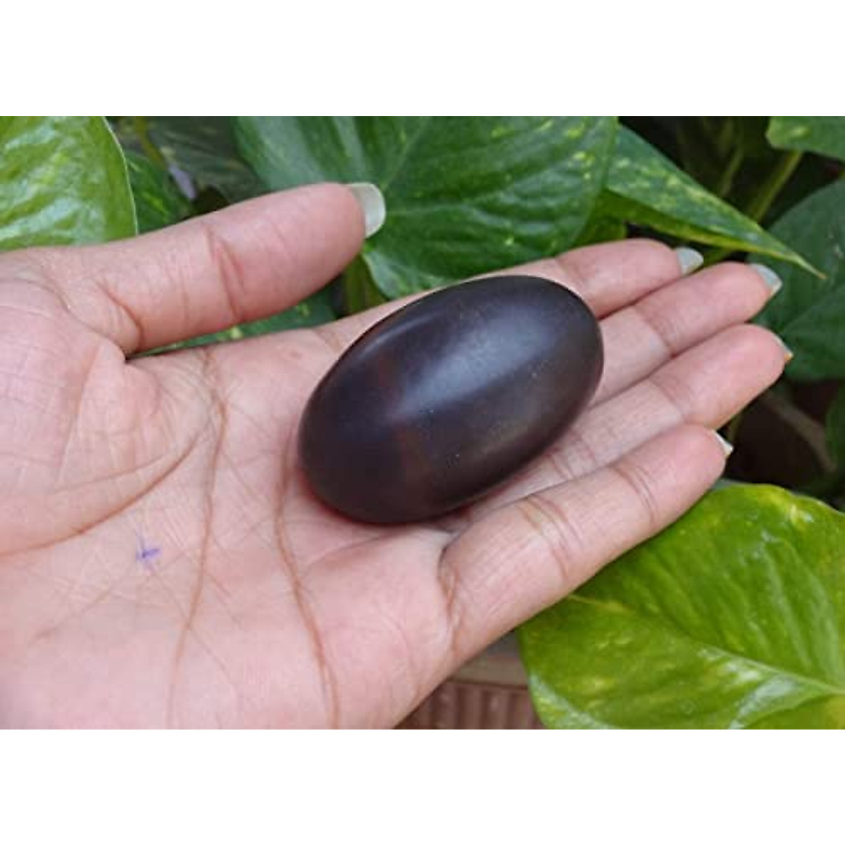 M FRANCISCO Natural Shaligram Hindu Pooja Shivlingam, Shiva, Shivling Small Beautiful Healing Stones Meditation Energy India Meditation Metaphysical Sacred Hindu Valley