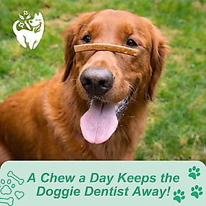 Vivus Pets Nautral Vegan Dental Chews for Dogs - Cinnamon Parsley Flavor to Help Clean Teeth & Freshen Breath - Dental Dog Treats with Natural Ingredients for All Breeds and Sizes, 10.5 Oz