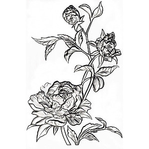 Tim Holtz Sizzix 3-D Texture Fades Mini Roses and Mini Botanical, Bundle of 2 Embossing Folders (665631 665632)