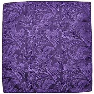 STACY ADAMS mens Classic Style Reg necktie, Purple, Regular US
