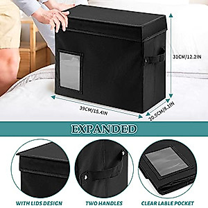 ZOOS Storage Bins with Lids and Handles, 2 Pack Large Collapsible Storage Bins for Clothes, Fabric Storage Boxes Organizer Containers with Cover for Home Bedroom Closet Office, 15.4x8.1x12.2in