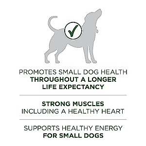 Purina ONE Plus Small Breed Lamb and Rice Formula Dry Dog Food - 15 lb. Bag