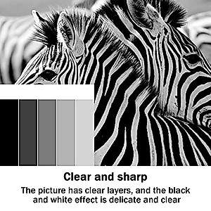 1 Pack B341000 Black Remanufactured Toner Cartridge Compatible B3340 Replacement for Lexmark B3340dw B3442dw MB3442adw Printer.