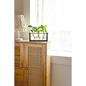 Mkono Plant Terrarium with Wooden Stand, Wall Hanging Glass Planter Tabletop Propagation Bulb Vase Metal Swivel Holder Retro Rack with 3 Bud Bottle for Hydroponics Plants Home Office Decor