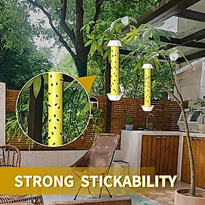 3-Pack Fly Trap Sticks for Indoor, Kitchen, Porch, Garbage Can, High-End Adhesive Fly Catcher Stick for Fly, Fruit Fly, and Flying Insect, Hanging Hook Included, Non-Toxic, Easy to Use and Disposable