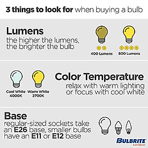 Bulbrite 712331 Light Bulb, 1 Count (Pack of 1), Half Mirror