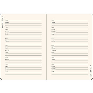 2023 Floral Fields Weekly Planner (16 months, Sept 2022 to Dec 2023)