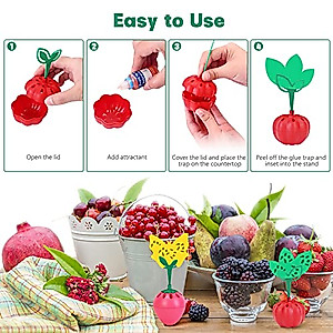 Fruit Fly Trap for Indoors, Safe Fly Catcher Gnat Trap Killer with Sticky Traps, Effective Gnat Trap with Bait, Non-Toxic and Odorless Fly Trap for Home,Kitchen