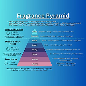 NKR Fragrance - Perfume and Cologne Oil for Women and Men - Designer Type - Our Version Of (K Cole - Reaction - him)