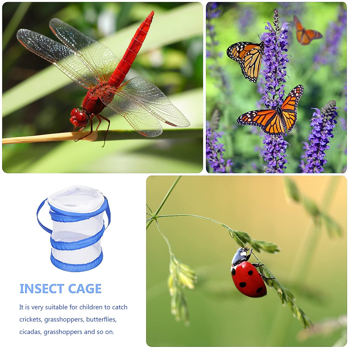 Vaguelly Butterflies Mini and Habitat Cage Portable Net Observation Cage for Kids Children Outdoor Toys