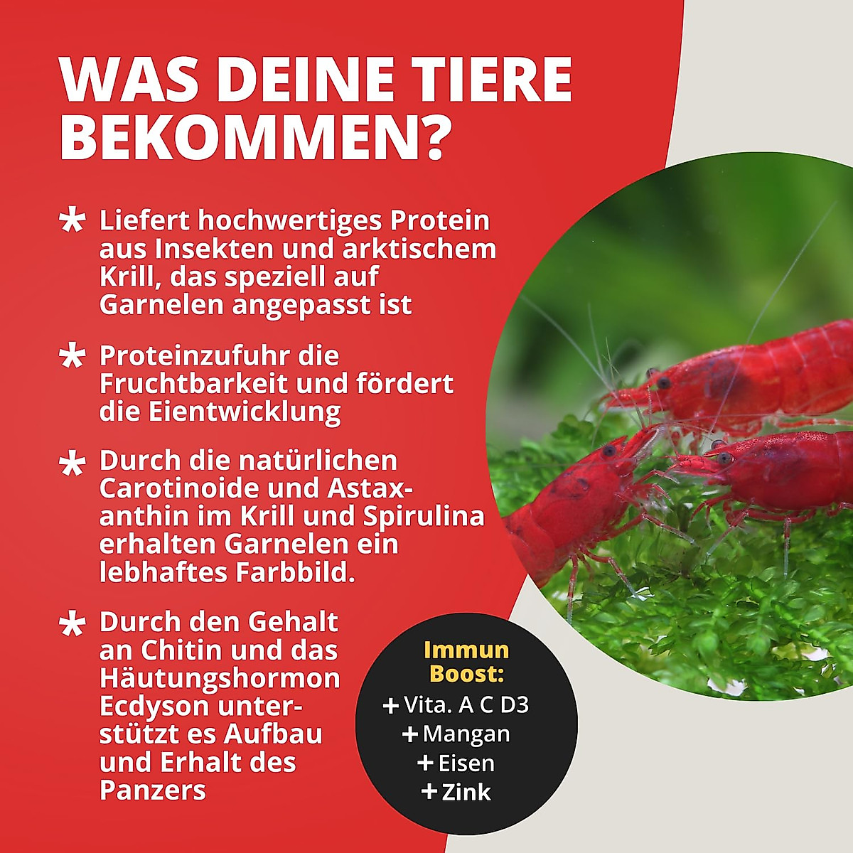 NatureHolic Proteinfeed, Shrimp Food, Protein Food, Made in Germany, Free from Fish Meal & Low-Quality Animal Meals, for Enhanced Shrimp Breeding & Growth