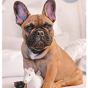 rocket & rex No Stuffing Dog Toy | Unstuffed Dog Toys Set with Squeakers | Includes a Stuffing Free Rope Toy, Rubber Squeaker Toy and Plush Toy | for Small to Medium Breeds | Dog Stocking Stuffer