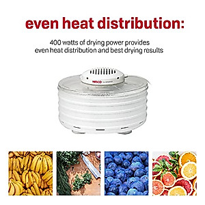 NESCO FD-37A Food Dehydrator, For Snacks, Fruit, Beef Jerky, Speckled White
