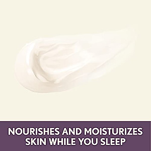 Aveeno Absolutely Ageless Restorative Night Cream Face & Neck Moisturizer with Antioxidant-Rich Blackberry Complex, Vitamin C & E, Hypoallergenic, Non-Greasy & Non-Comedogenic, 1.7 fl. oz