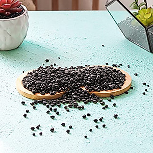 T4U Tumbled Chips Stones Crushed Black Gravels 1 LB, Irregular Shaped Natural Rock Pebbles, DIY Polished Rocks for Potted Plant, Bonsai, Vase Fillers Aquarium Decoration, Aquarium Gravel Rocks