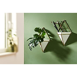 Umbra Trigg Hanging Planter Vase & Geometric Wall Decor Container - Great For Succulent Plants, Air Plant, Mini Cactus, Faux Plants and More, White Ceramic/Brass (Set of 2), Small