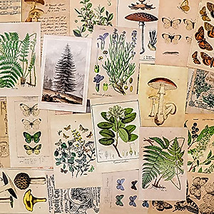 Knaid Vintage Style Postcard Set, Pack of 30 Botanical Plants Butterfly Mushroom Leaves Fruits Retro Postcards