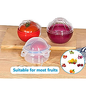 Ortarco Fruit and Vegetable Storage Container Lemon Tomato garlic Keeper Onion Saver Holder Tool