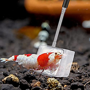 4 Pieces Fish Tank Shrimp Net Extendable Handle Shrimp Net Aquarium Stainless Steel Small Fishing Net Fish Shrimp Skimming Net with Adjustable Handle for Aquarium Fish Tank Pond (Black)