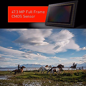 Panasonic LUMIX S1R Full Frame Mirrorless Camera with 47.3MP MOS High Resolution Sensor, 24-105mm F4 L-Mount S Series Lens, 4K HDR Video and 3.2” LCD - DC-S1RMK (Renewed)