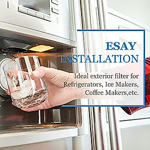 Vegebe Inline Water Filter for Ice Maker, Refrigerator, Under-Sink Reverse Osmosis Water System, Post Activated Carbon Water Filter Replacement Cartridge with 1/4-Inch Quick-Connect (Pack of 2)