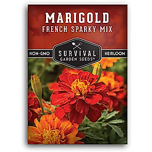 Survival Garden Seeds - French Sparky Marigold Seed for Planting - Packet with Instructions to Plant and Grow Large Tagetes Patula Flowers in Your Home Vegetable Garden - Non-GMO Heirloom Variety