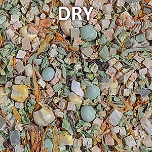 Healthy Herp Veggie Mix Instant Meal 7.5-Ounce (212.63 Grams) Jar