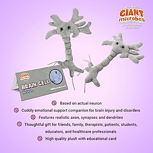 GIANTmicrobes Brain Cell Plush, Neuron Plush, Neuroscience Gifts, Neurology Gifts, Science Plush, Neuron Model Anatomy, Psychology Gifts, Psychology Decor, Brain Themed Gifts, Mental Health Awareness