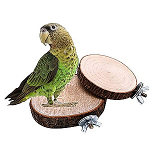 Keersi Natural Wood Perch Stand Toy for Small Medium Pet Bird Parrot Budgie Parakeet Cockatiel Conure Lovebird Finch Canary Hamster Gerbil Rat Chinchilla Squirrel Cage Platform