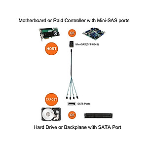 CableCreation 2-Pack 1.6FT/0.5M Internal HD Mini SAS (SFF-8643 Host) - 4X SATA (Target) Cable,SFF-8643 to 4X SATA Cable, SFF-8643 for Controller, 4 Sata Connect to Hard Drive