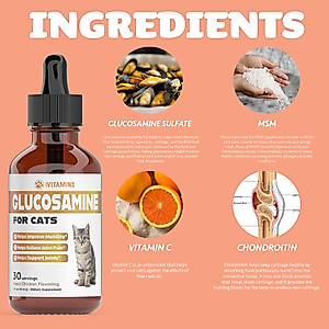 Glucosamine for Cats | Cat Glucosamine | Glucosamine for Cats Liquid | Cat Joint Supplement | Joint Supplement for Cats | Cat Joint Pain Relief | Joint Support for Cats | 1 fl oz: Chicken Flavor