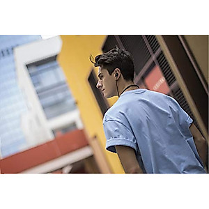 1MORE Stylish Bluetooth Headphone Wireless Bluetooth 4.2 Earphone with Microphone, Dual Dynamic Driver In-Ear Wireless Earphones Neckband, Volume Control, Fast Charge, 6H Battery Life, E1024BT Black