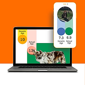 Dna My Dog Premium Test – Premium Breed ID Over 300 Breeds Plus Genetic Age Test, Wolf/Coyote DNA and Mixed Breed Identification, Non-Invasive Cheek Swab for Puppies to Adult Dogs