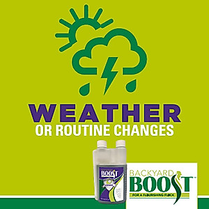 Backyard Boost Defense for Poultry, Multivitamin for Chickens, Restores Digestive Health for Hens, Poultry Hydration - 8oz