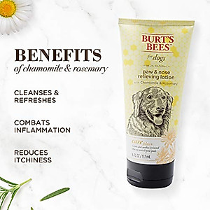 Burt's Bees for Pets Care Plus+ Naturally Derived Hydrating Dog Grooming Paw & Nose Lotion- Dog Paw & Nose Lotion for Relieving Rough Paw Pads and Noses - Made in the USA, 6 Oz