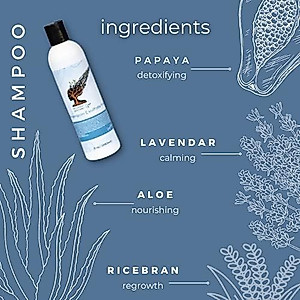 Recover Restore Gro Hydrating Shampoo | All hair types | Hair Growth | Sulfate Free | Vegan | Aloe Vera base | 8oz.